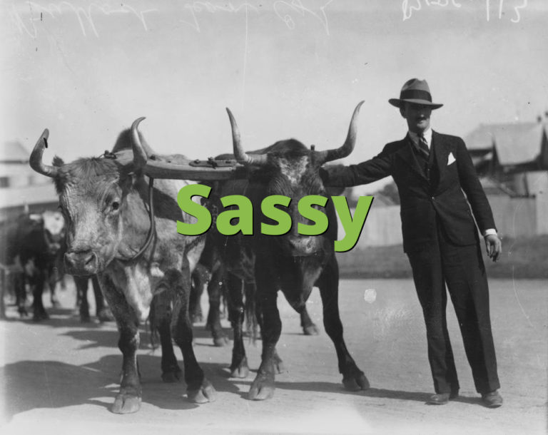 Sassy Meaning » Slang.org